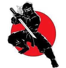 Shin Kage Ryu Ninjutsu-Brasil